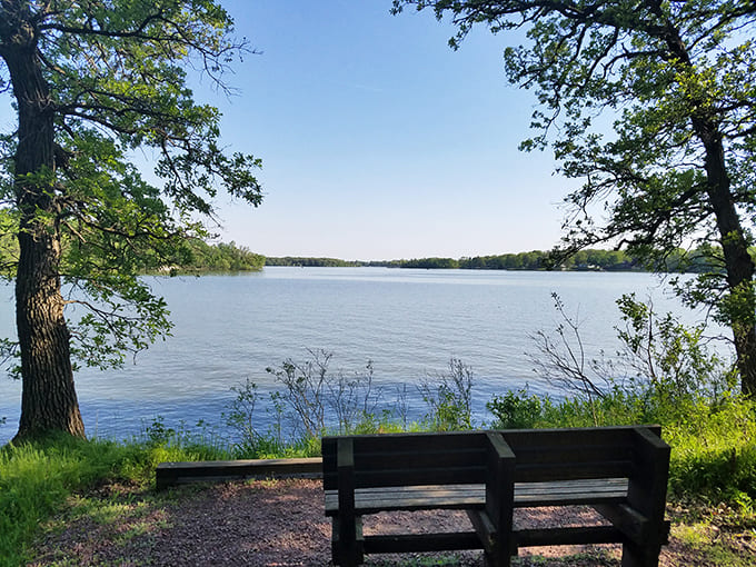 Benches positioned along the shoreline offer front-row seats to Lake Shetek's daily show, featuring water, sky, and whatever wildlife decides to make an appearance.