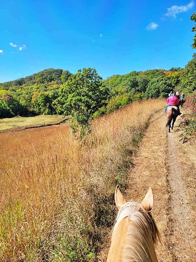 Giddy up! Exploring Maplewood on horseback connects you to the landscape in ways that would make your pioneer ancestors proud.