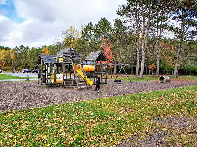 This playground proves that kids' fun and spectacular autumn scenery can absolutely coexist in perfect harmony.