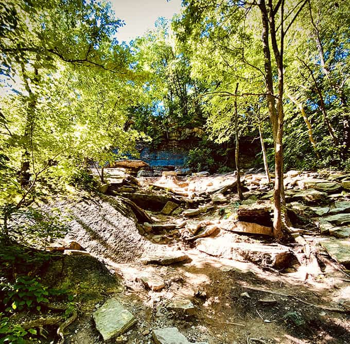 The creek flows peacefully through the park, its gentle current a preview of the dramatic plunge it's about to take over the falls.