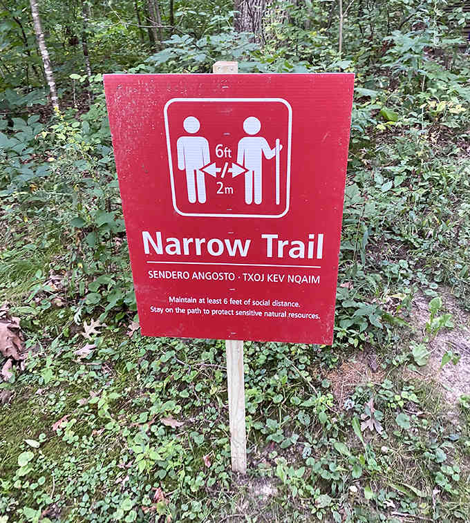 Narrow Trail &ndash; Minnesota's polite way of saying "Hope you didn't skip leg day!" The best views always require a bit of effort.