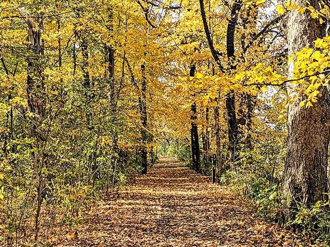 Fall hiking trails wind through forests ablaze with color, creating the kind of scenery that makes your camera work overtime.