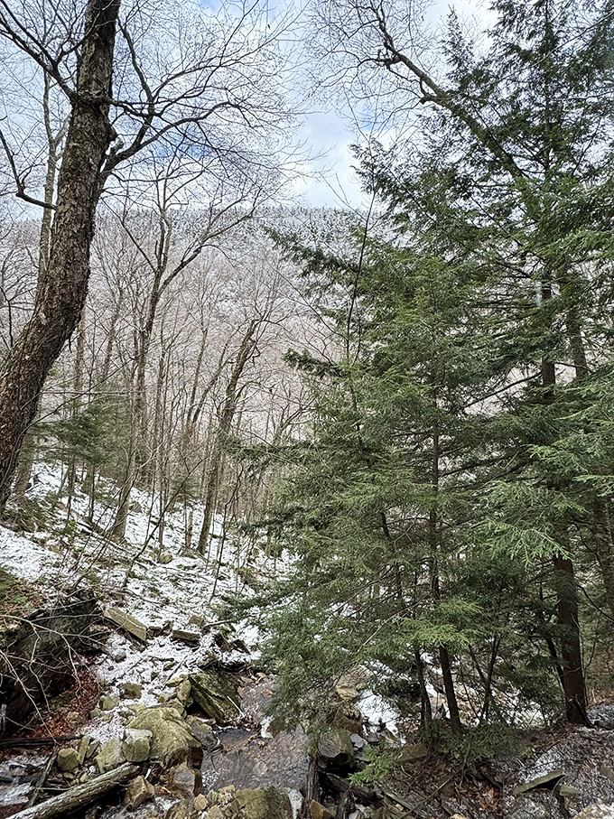 Winter's gentle touch transforms the landscape. Snow silences everything except your sense of wonder.