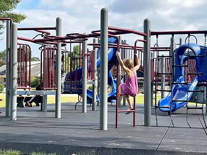 Playground: A kingdom of climbing structures where energy is burned, friendships are formed, and parents secretly wish they could join in.