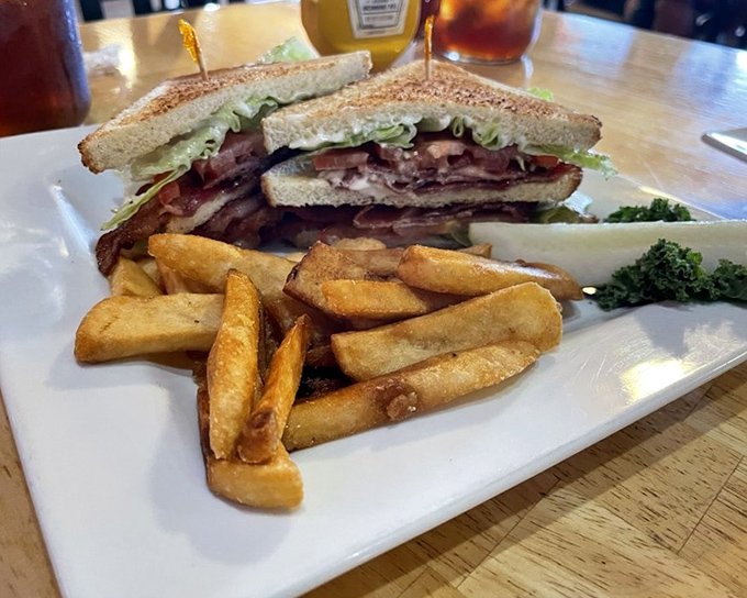 This classic sandwich with golden fries isn't just lunch &ndash; it's a portable feast that satisfies both hunger and the craving for authentic roadside cuisine.