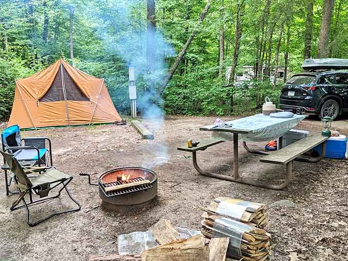 Camping nirvana: where s'mores, storytelling, and stargazing come together in perfect outdoor harmony.