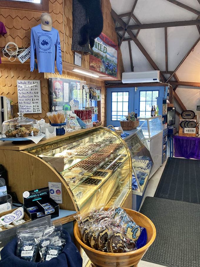 Wild Blueberry Land offers delicious treats, fun souvenirs, and a welcoming atmosphere, making it a sweet stop in beautiful Columbia Falls, Maine. 