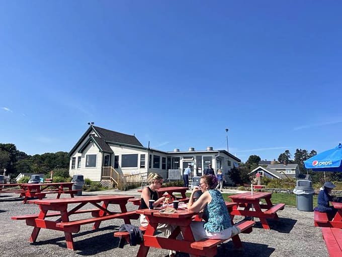Red picnic tables scattered like coastal confetti, each one offering front-row seats to Maine's greatest show: the Atlantic Ocean.