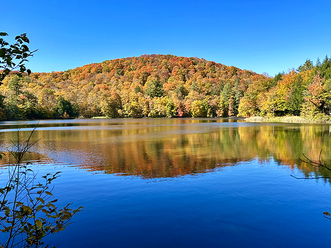The Pogue Pond: Mirror, mirror on the pond &ndash; reflecting Vermont's autumn splendor with such perfect symmetry it looks like Mother Nature's showing off.