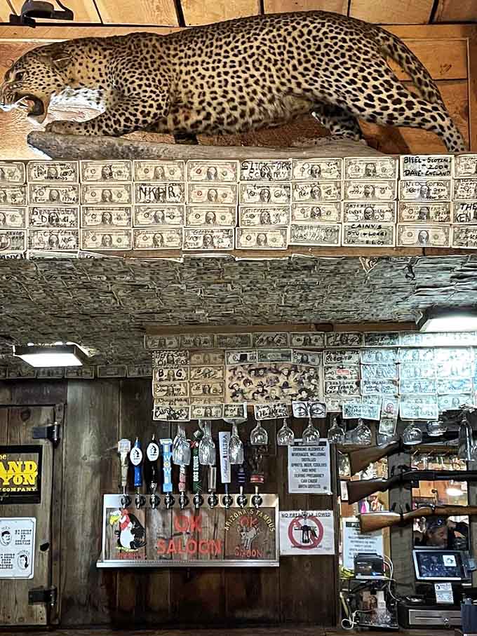 Dollar bills plastered across walls and ceiling create an ever-growing testament to satisfied visitors worldwide.