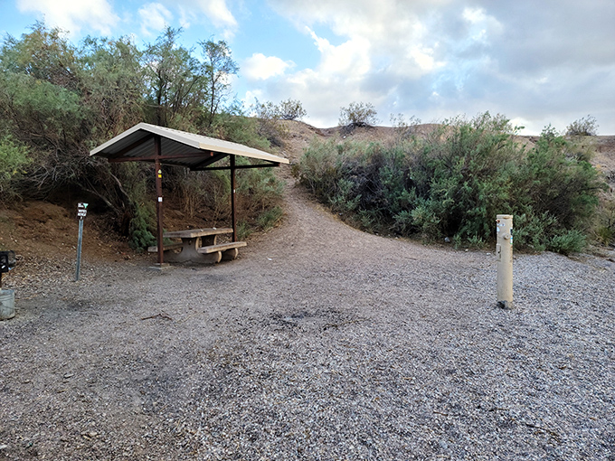 Hiking trails offer shade and serenity, perfect for exploring the unique ecosystem where desert meets shoreline.