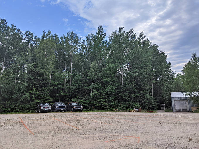 Journey's beginning &ndash; the unassuming parking area gives no hint of the extraordinary wildlife encounters waiting just beyond the trees.