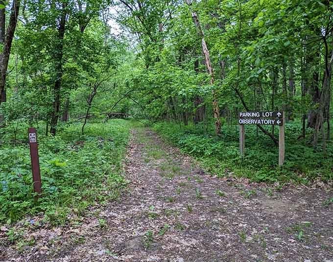 Prairie Park showcases native Illinois landscapes that once covered the region before agriculture transformed everything into cornfields.