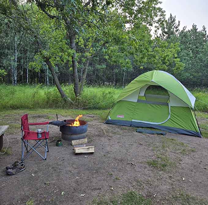 Camping under these trees beats any hotel room, and the morning views prove it conclusively.