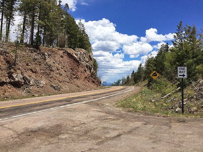 The road ahead curves like a question mark, inviting travelers to discover what lies beyond each bend in this mountain passage.