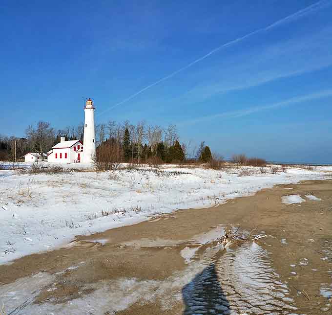 Winter transforms Sturgeon Point into a snow globe scene. The lighthouse keeps its vigil even when ice replaces summer swimmers.