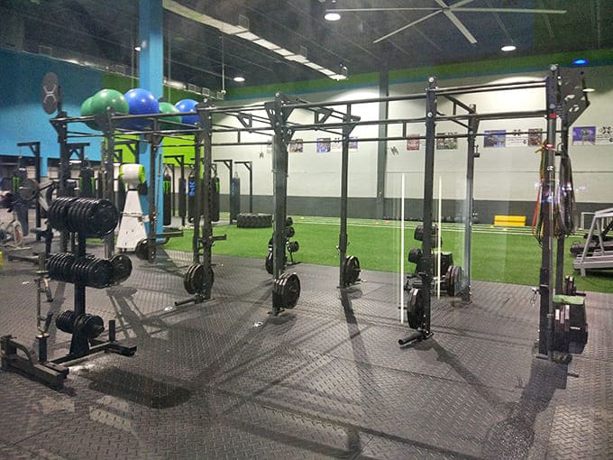 Where weekend warriors train alongside serious athletes, convincing themselves they're preparing for the Olympics rather than just counteracting last night's nachos.