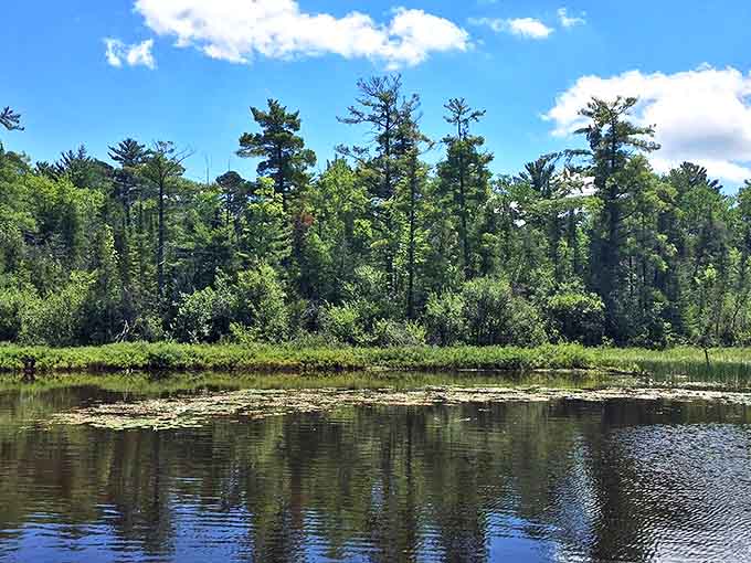 The park's inland waters create mirror-like reflections that double the beauty and confuse the occasional waterfowl.
