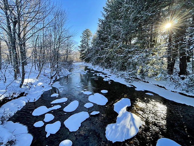 Winter's artistic touch transforms ordinary streams into extraordinary ice sculptures that change daily with the temperature.