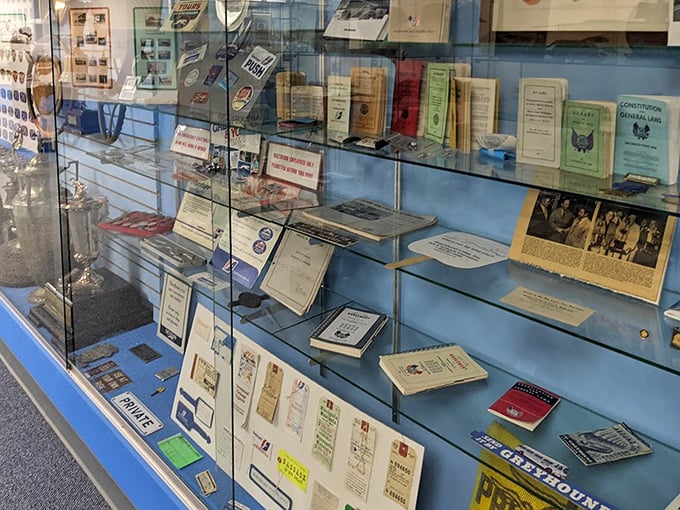 A quiet museum display showcasing vintage documents, books, and memories that reflect history, identity, and everyday life across generations worldwide.