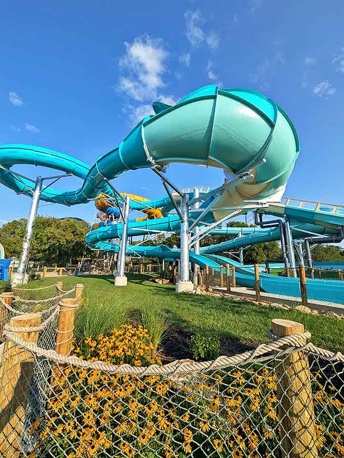 Close up angle: This magnificent water slide looks like it was designed by someone who really understood the physics of joy.
