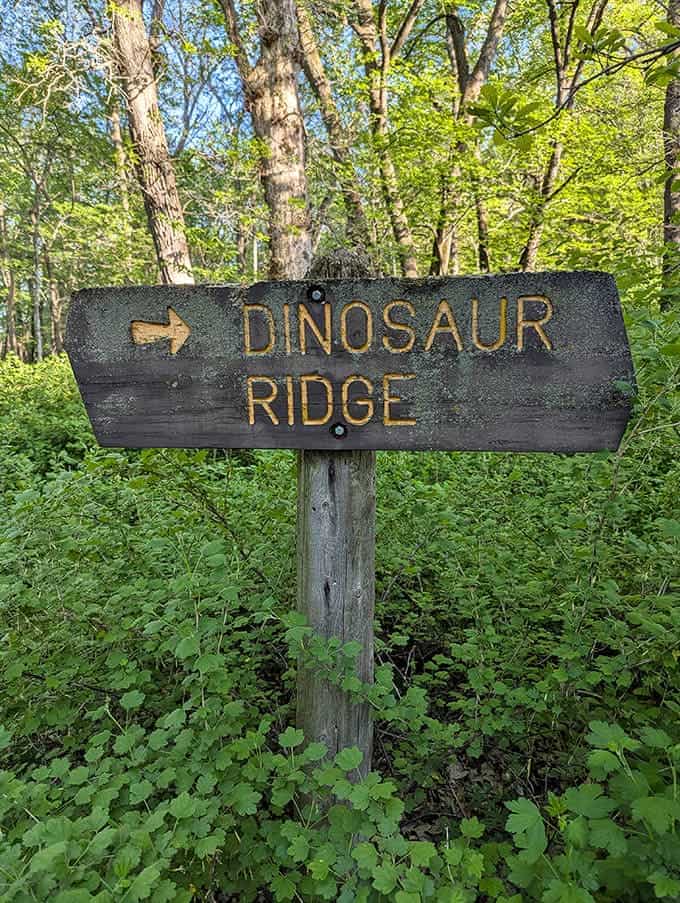 "Dinosaur Ridge" sign points the way to panoramic views that have remained unchanged since, well, the dinosaurs roamed Minnesota.