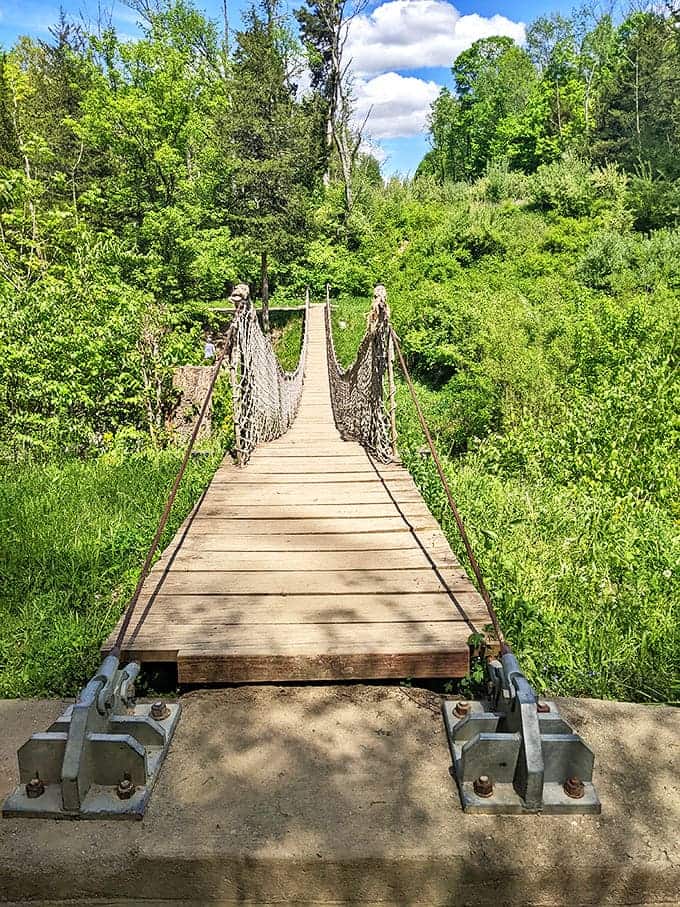 The rope bridge beckons from afar, promising adventure and that satisfying bouncy feeling that brings out everyone's inner five-year-old.