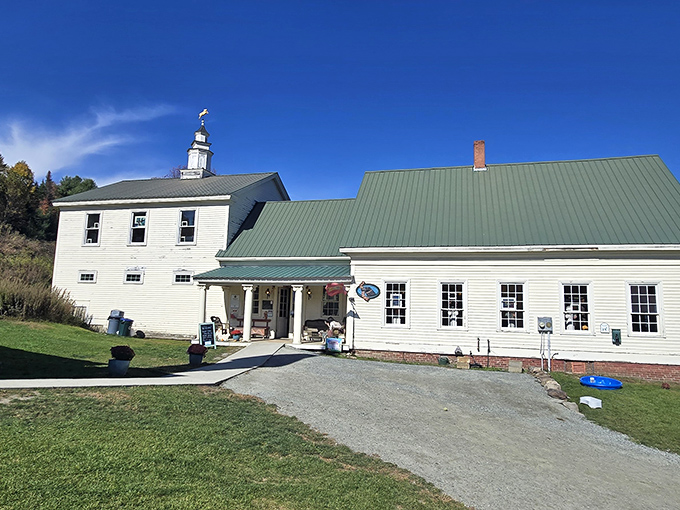Vermont's white clapboard tradition houses a gallery and gift shop where dog lovers can find tangible reminders of this magical mountain retreat.