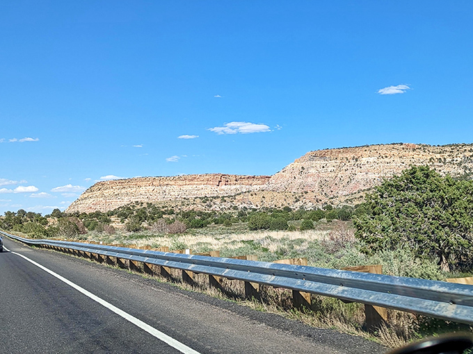 Desert symphony: Grasses and trees perform a slow dance in the breeze, their subtle movements bringing the still landscape to life.