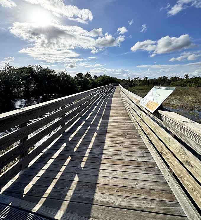 Shadows dance across weathered planks as the boardwalk stretches toward adventure, each step revealing Florida's wild secrets.