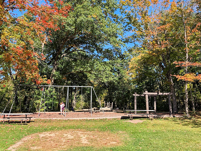 Even the playground blends harmoniously with its woodland setting, proving that swing sets and ancient forests can be good neighbors.