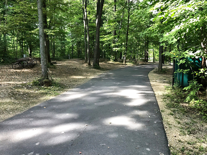 Shaded pathways wind through the campground, inviting leisurely strolls and connecting nature-lovers to their next adventure.
