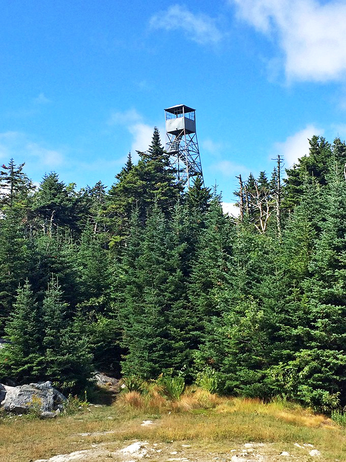 The tower stands like a retired sentinel, no longer watching for fires but now collecting gasps and wows from delighted visitors.