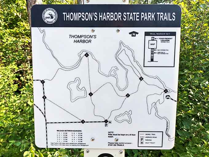 Trail maps: the original GPS system that never loses signal and occasionally doubles as emergency toilet paper in truly desperate situations.