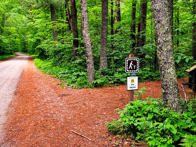 The trailhead welcomes adventurers with the promise of stepping back in time, where modern worries dissolve among trees that predate smartphones by centuries.