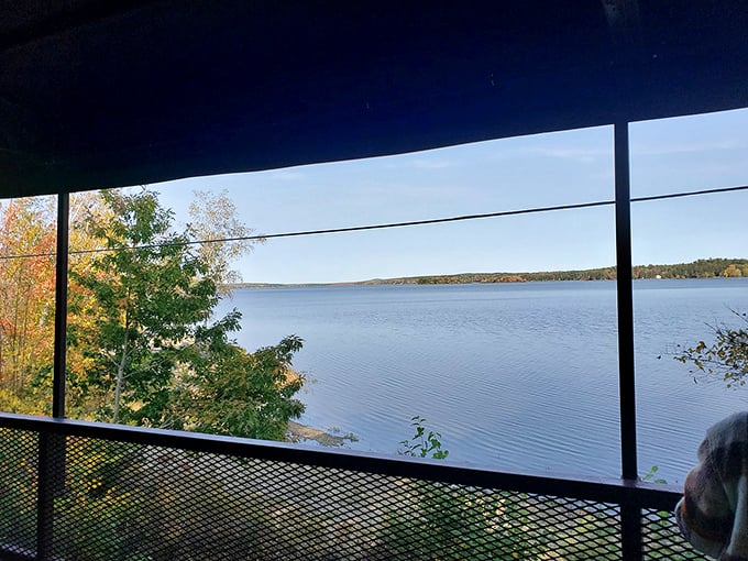 The view from the train offers a perfect framing of Maine's coastal waters, proving that sometimes the journey truly is the destination.