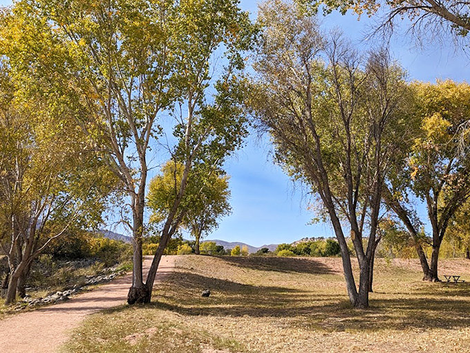The park's open meadows dotted with cottonwoods offer perfect vantage points for watching golden leaves dance in autumn breezes.