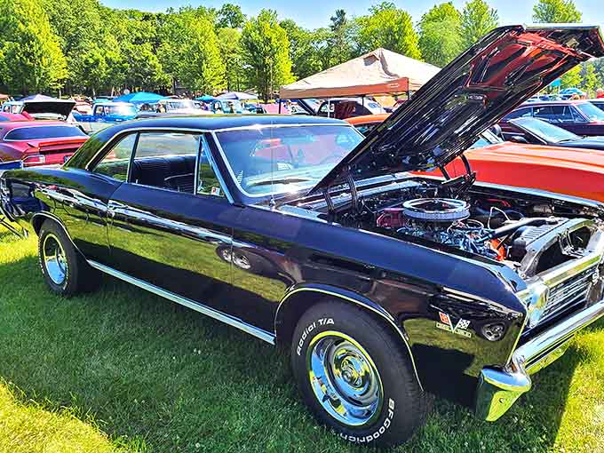 Classic car enthusiasts find paradise at Charlton Park events, where gleaming chrome and vintage engines celebrate America's love affair with automobiles.