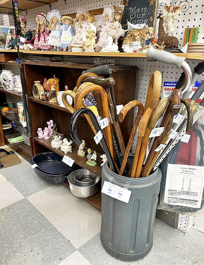 Walking canes stand at attention like wooden sentinels, their handles worn smooth by hands that used them for both support and style.