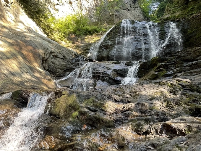 Sunlight plays through the mist, creating a magical atmosphere that no filter could ever improve upon.