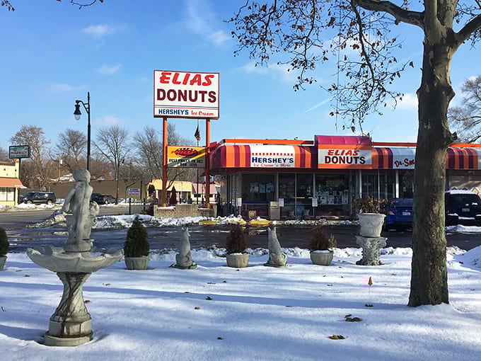 Even in winter's embrace, Elias Donuts stands bright against the snow, a warm refuge of comfort food when Michigan's chill sets in.