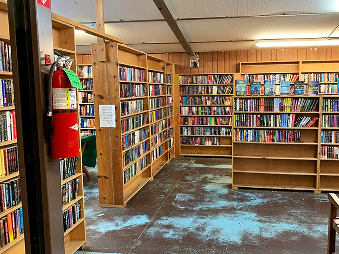 Simple wooden shelving creates a warm, unpretentious home for thousands of books waiting for their next reader.