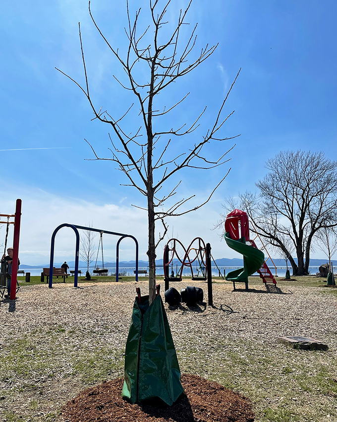 Perkins Pier's playground offers swings with a view, where children play while parents secretly envy their unfettered joy and energy.