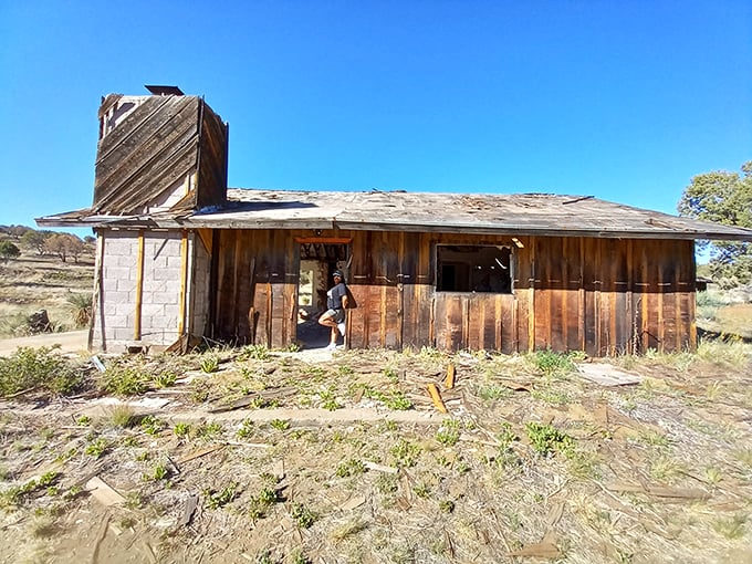 Abandoned dreams: This weathered structure whispers stories of Arizona's pioneering past, when optimism and grit weren't always enough for survival.