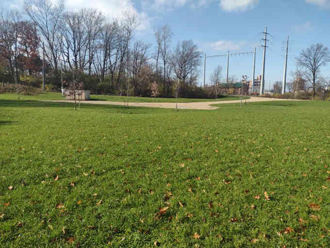 Open parkland provides a moment of breath and space, where the forest temporarily steps back to let the sky in.