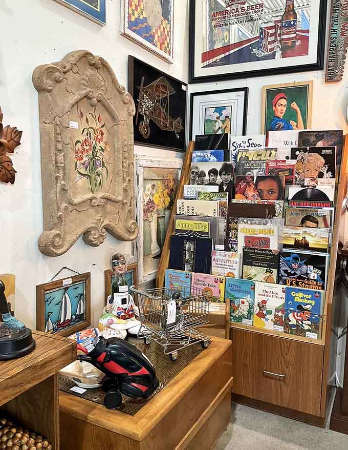 Books and vinyl records offering analog entertainment that never needs charging, updating, or a Wi-Fi connection to enjoy.