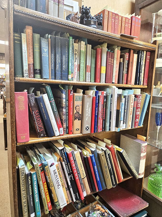 Literary treasures await bibliophiles in these crowded shelves – each spine representing not just a story within its pages but the story of who read it before you.