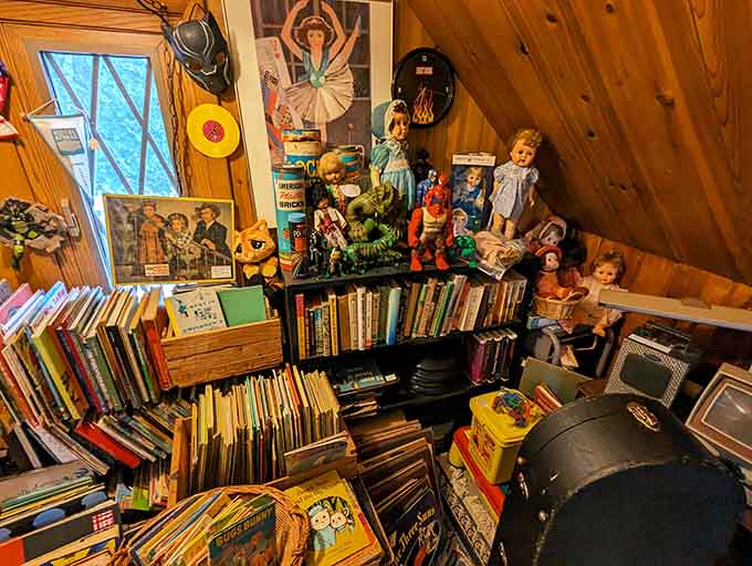 This toy and book collection is pure nostalgia fuel, back when entertainment required imagination instead of batteries and Wi-Fi.
