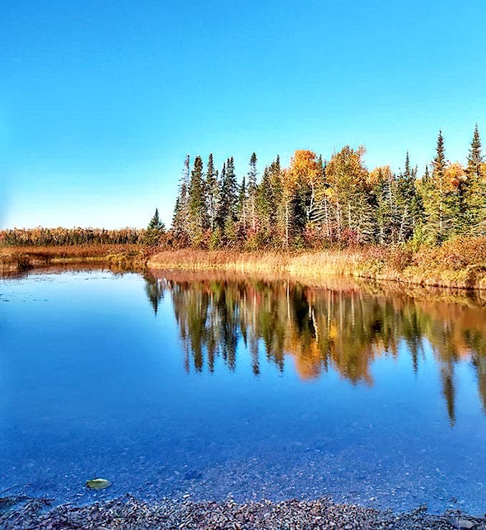 Autumn's reflection doubles nature's color show, creating a mirror-world masterpiece that no art gallery could possibly contain.