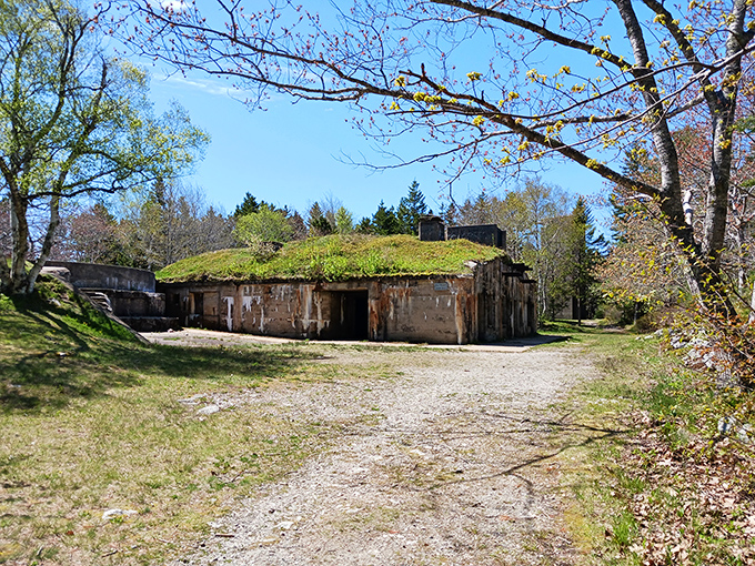 Battery Hawley's massive concrete structure demonstrates the impressive engineering that went into coastal defenses before the age of missiles and radar.